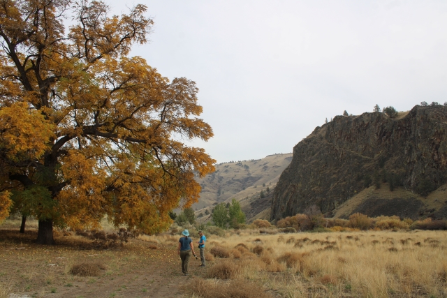 Priday Ranch: A legacy of stewardship shapes vital steelhead habitat ...