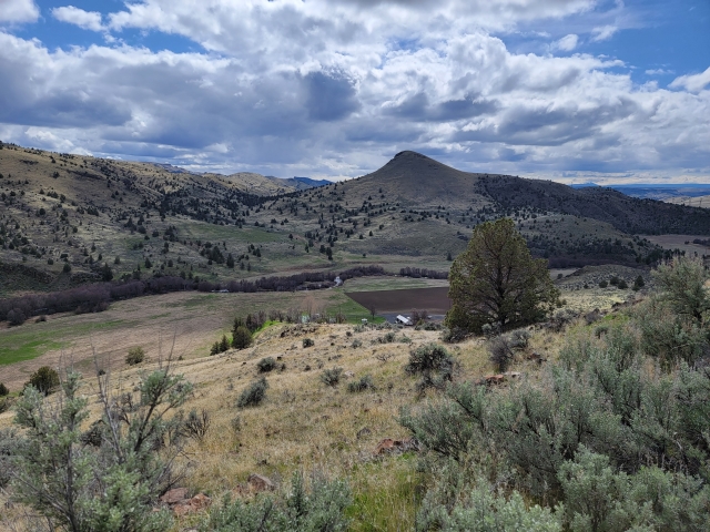 Priday Ranch: A legacy of stewardship shapes vital steelhead habitat ...