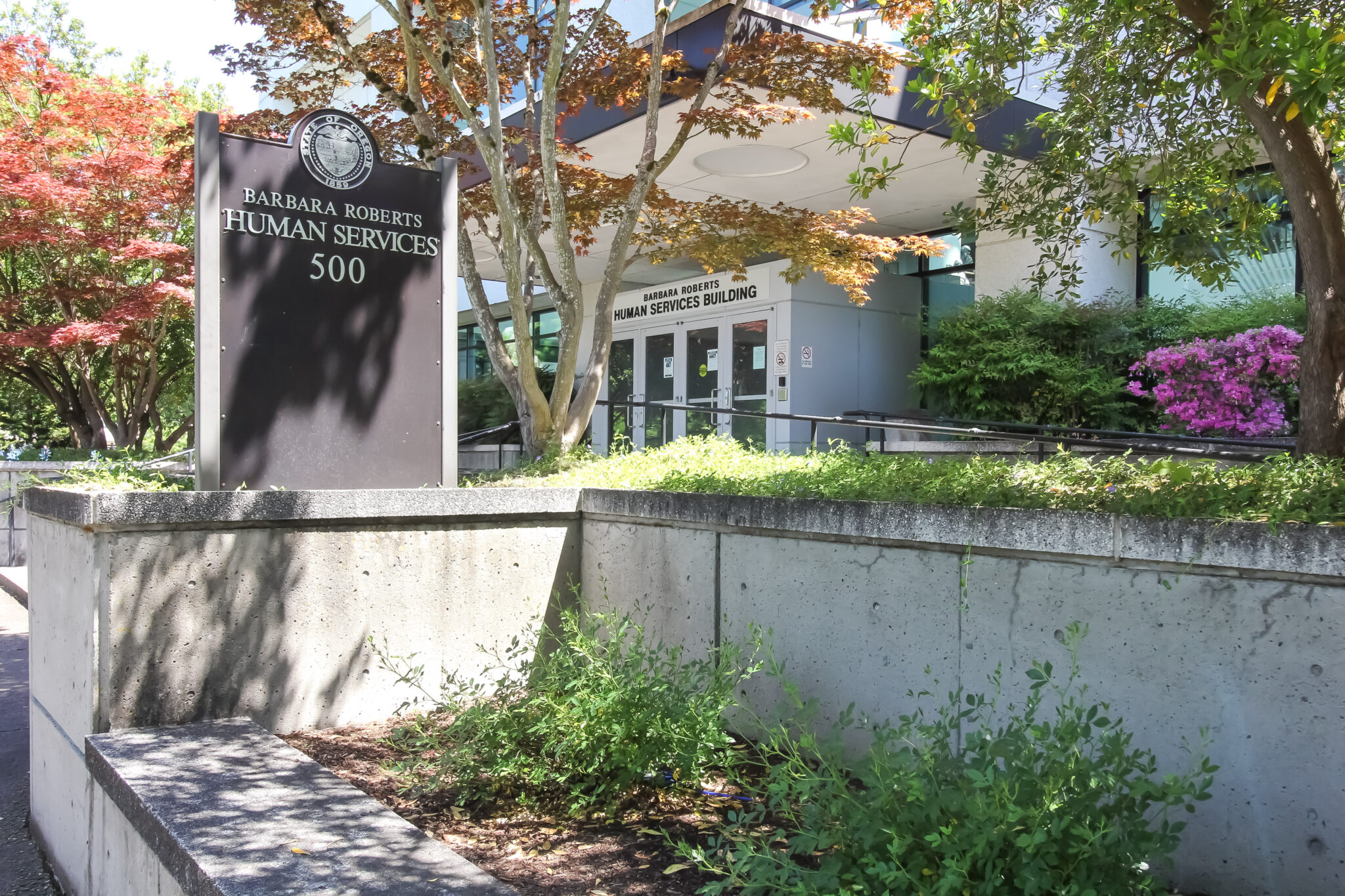 News | Madras Pioneer