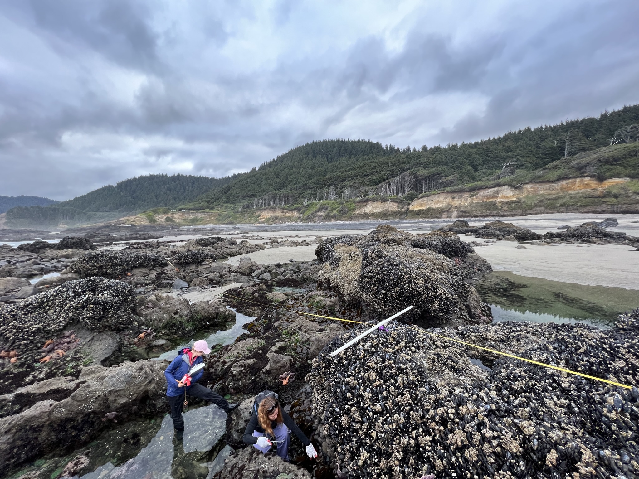 You Can Do That at COCC | Madras Pioneer