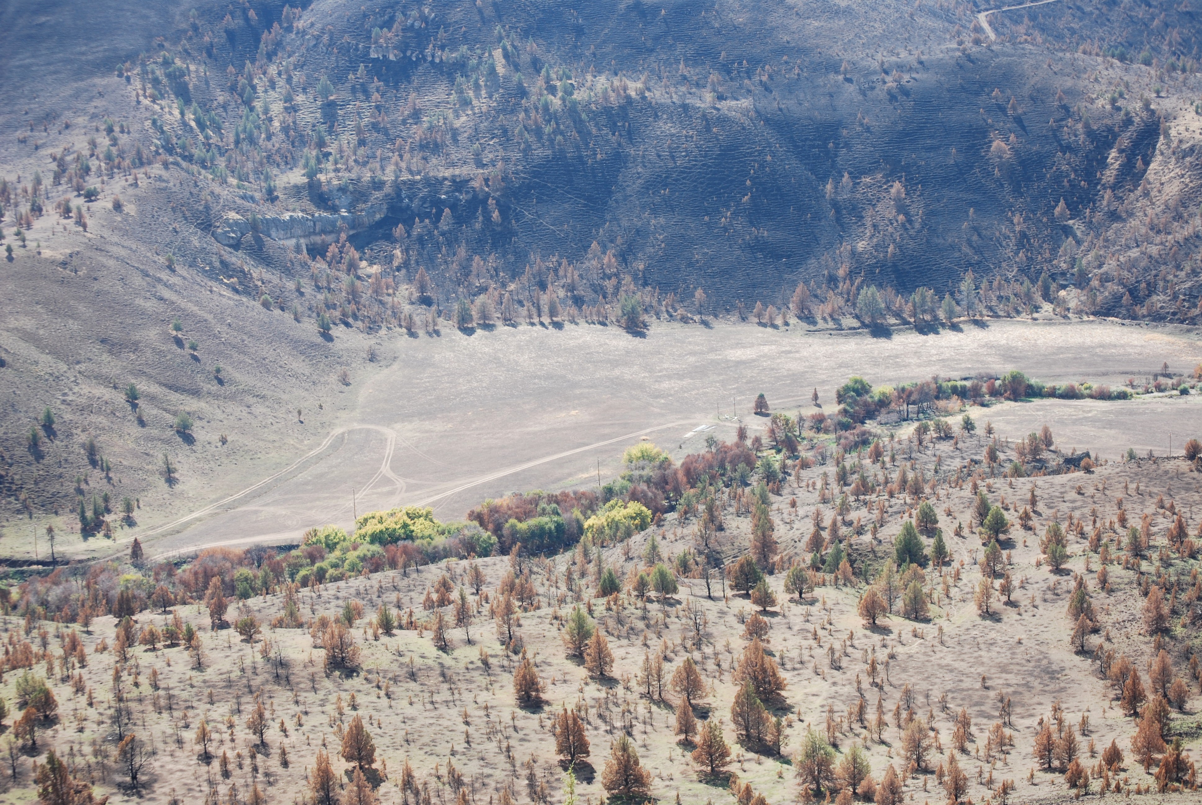 Priday Ranch near Madras is recovering from the Cram Fire | Madras Pioneer